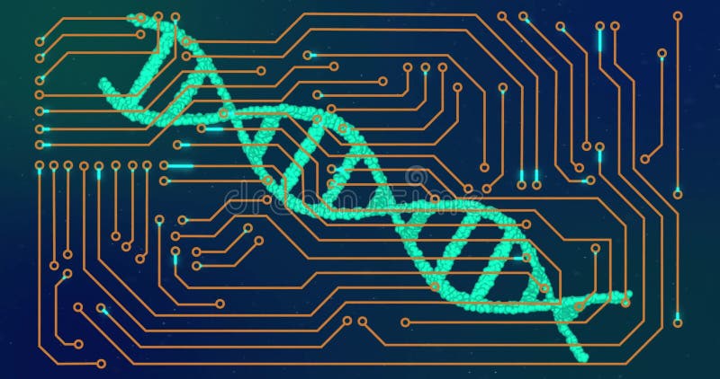 Image of Dna Strand and Data Processing Over Circuit Board Stock Photo ...