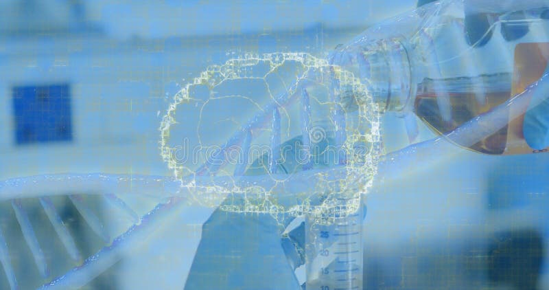 Image of Dna Strand and Human Brain Over Laboratory Test Tube Stock ...