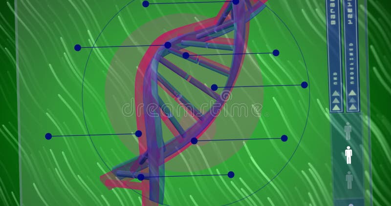 Image of Dna Strand Over Light Trails on Green Background Stock ...