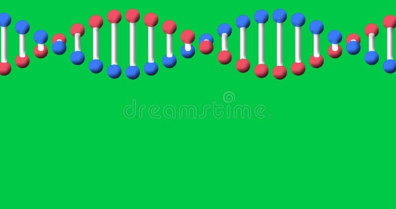 Image of Dna Strand Spinning with Copy Space Over Green Screen Stock ...