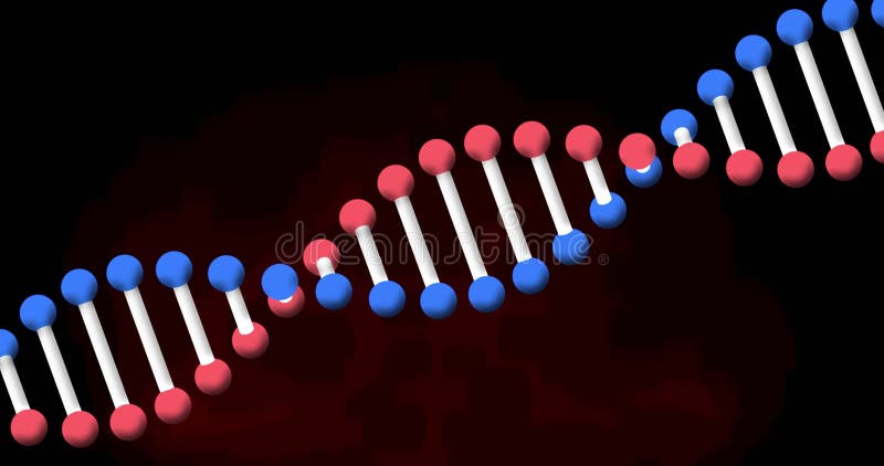 Image of Dna Strand Spinning on Red and Black Background Stock ...