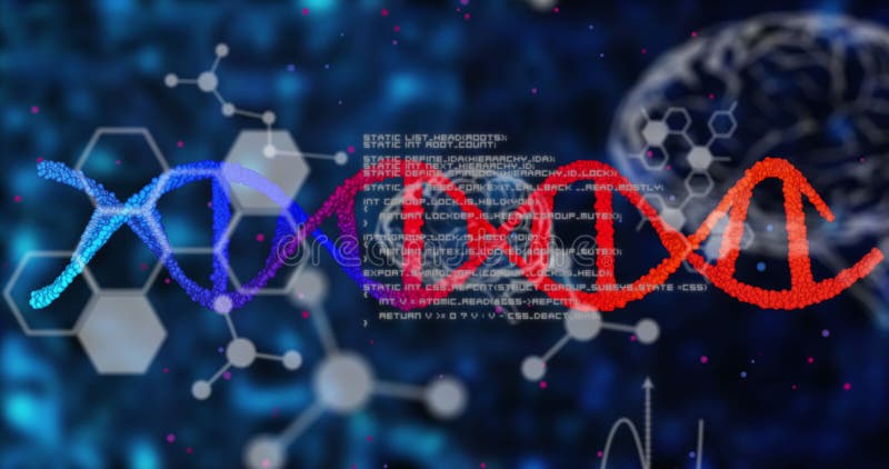 Image of Dna Strands with Data Processing Over Human Brains Stock ...