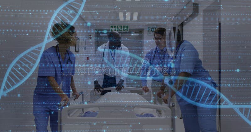 Image of Dna Strands Over Diverse Doctors with Patient in Hospital ...