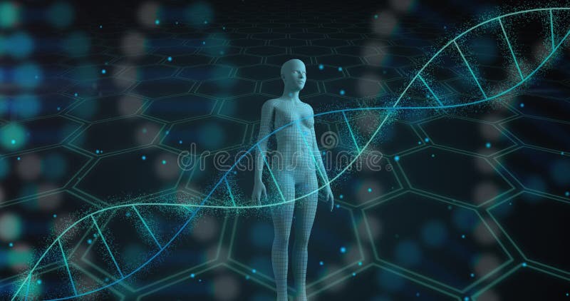 Image of Dna Strands, Scientific Data Processing and Human Body Stock ...