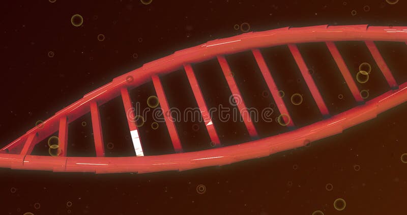 Image of Dna Strands Spinning and Glowing Spots of Light Over Black ...