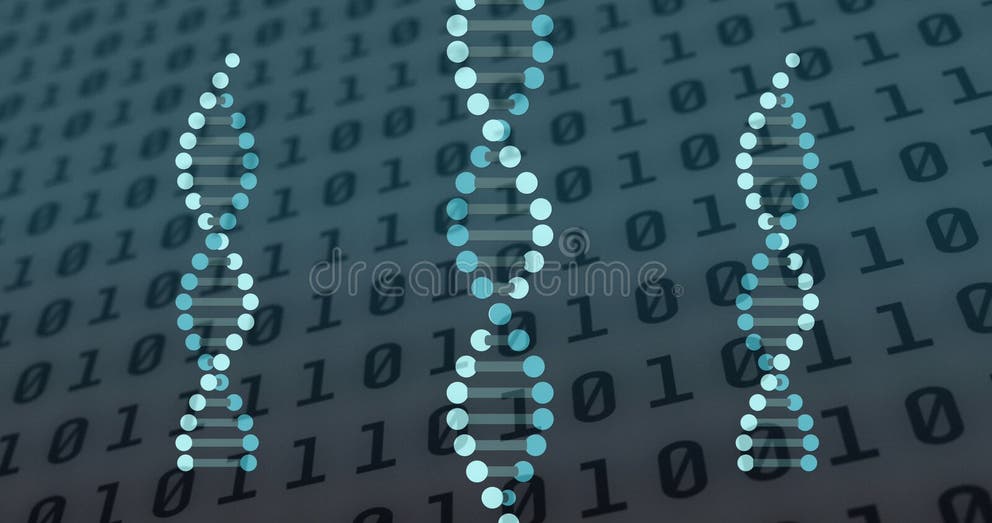 Image of Dna Strands Spinning Over Binary Coding Data Processing Stock ...