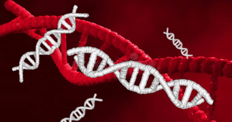 Image of Dna Strands Spinning Over Red Background Stock Image - Image ...