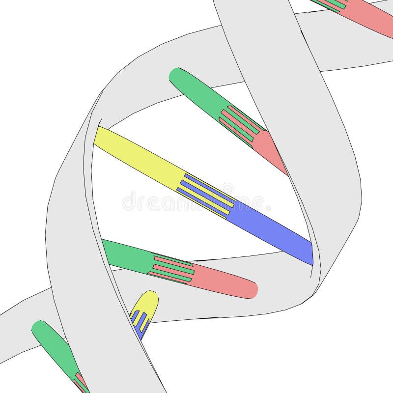 DNA strand question mark stock illustration. Illustration of cytosine ...
