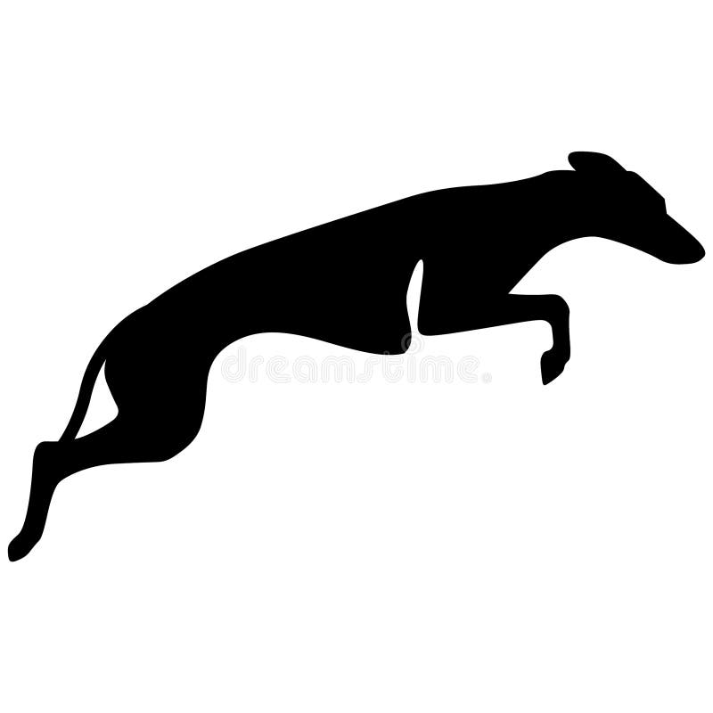 Dog Diving Sport EPS Vector File Stock Illustration - Illustration of ...