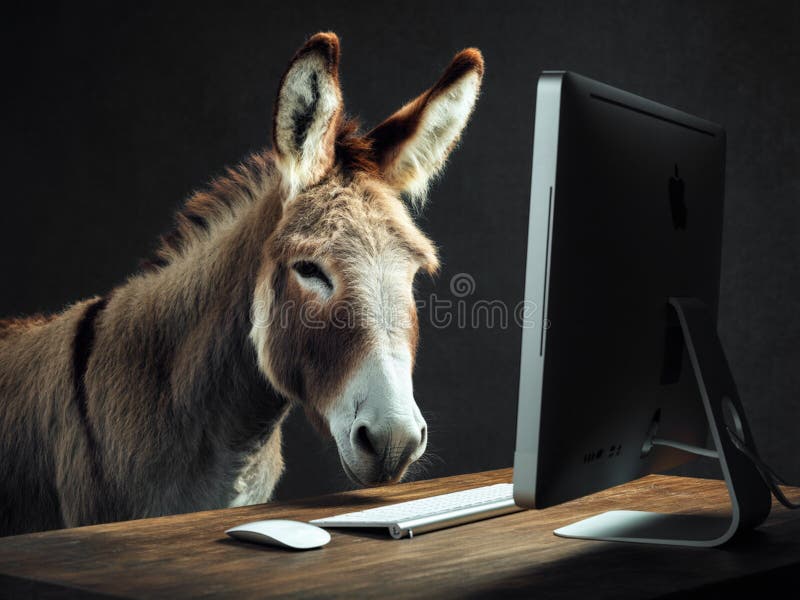 Donkey Using Computer stock illustration. Illustration of contrast ...