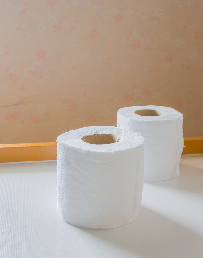 Image of Double Rolls of Toilet Paper Stock Image - Image of recycled ...