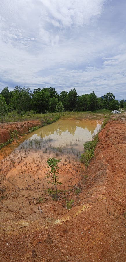 Dramatic Scene Around the Deserted Vacant Land Due To Deforestation and ...