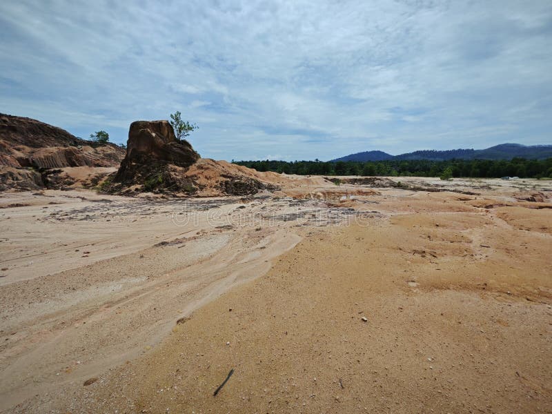 Dramatic Scene Around the Deserted Vacant Land Due To Deforestation and ...