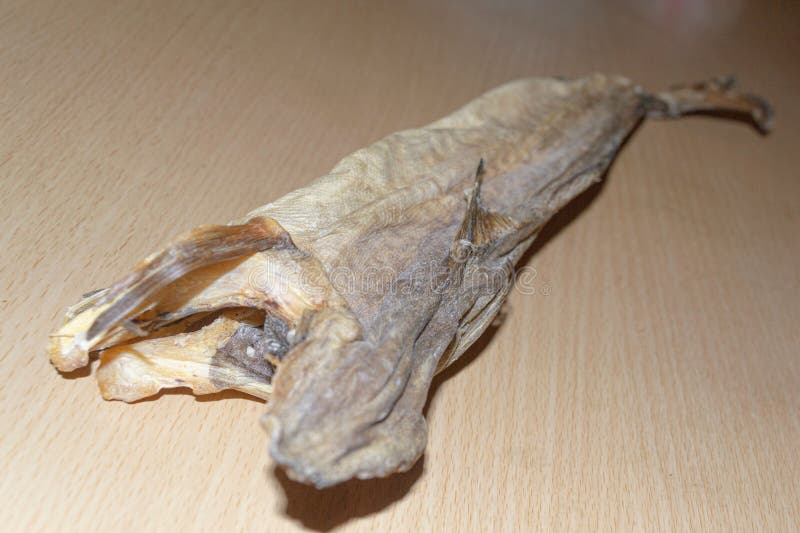 Image of a Dried Cod Fish Against a Plain, Beige Background Stock Image ...