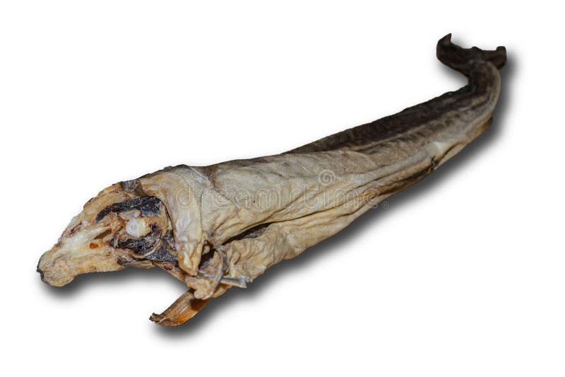 Image of a Dried Cod Fish Against a White Background Stock Photo ...
