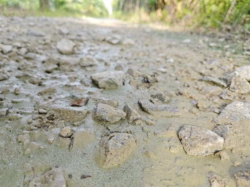 Dried Up Puddle Left with Stones Along the Pathway Stock Image - Image ...