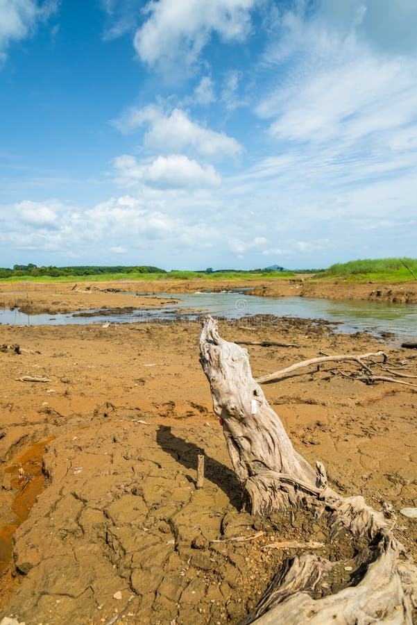 Image of Dry River with Blue Sky Stock Image - Image of landscape, view ...