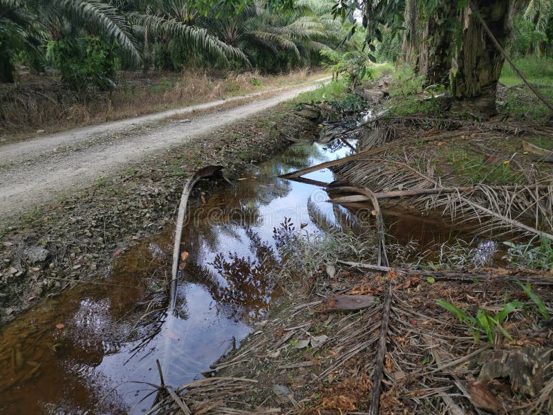 Drainage in the Rural Countryside Farm. Stock Photo - Image of channel ...