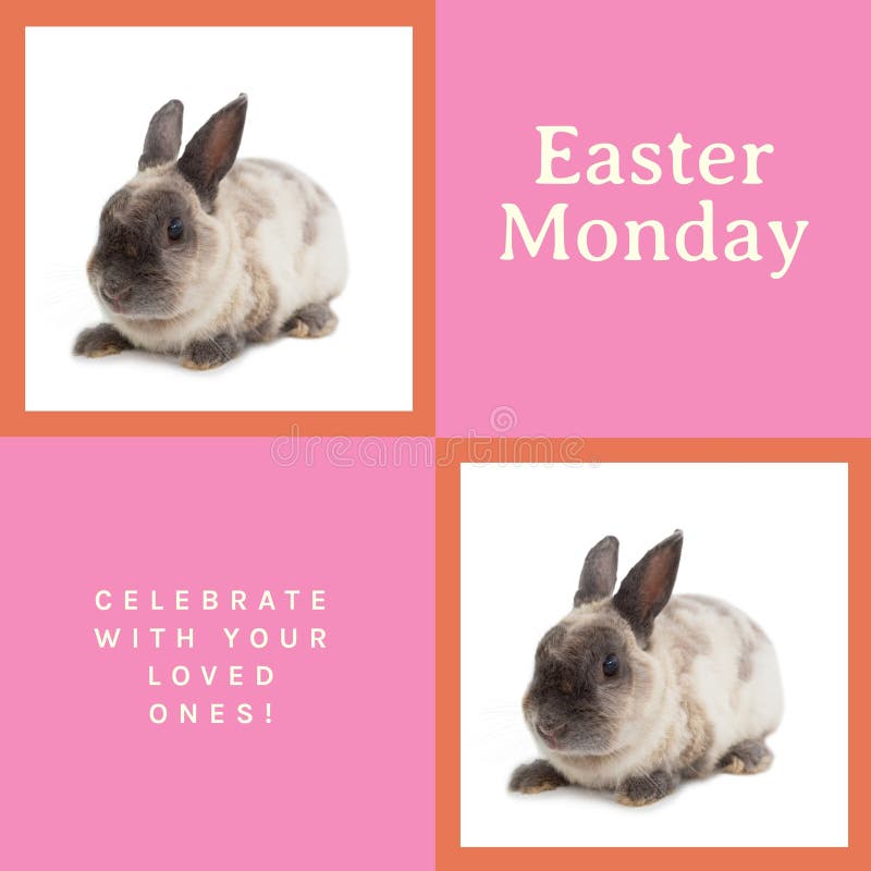 Image of Easter Monday Text Over Rabbits on White Background Stock ...
