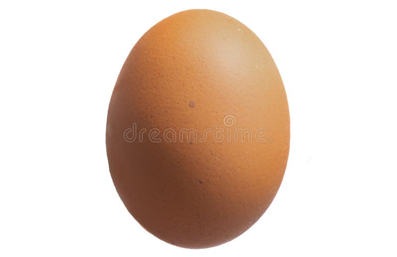 Image of the egg isolated stock image. Image of cucurbitaceae - 253339409