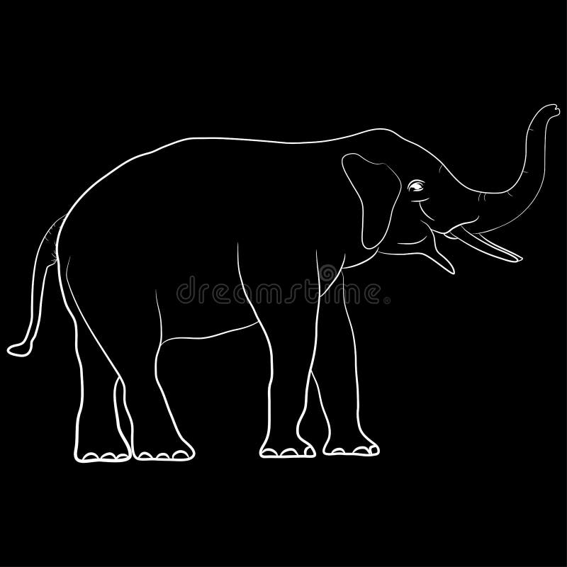 Image Elephant Outline White Standing Graphics Design Stock Vector ...