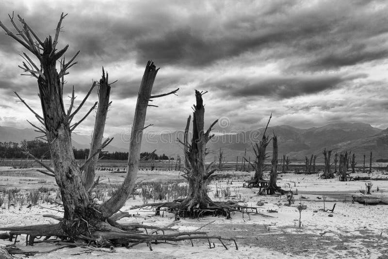 Image of an empty dam stock image. Image of colour, white - 92310269