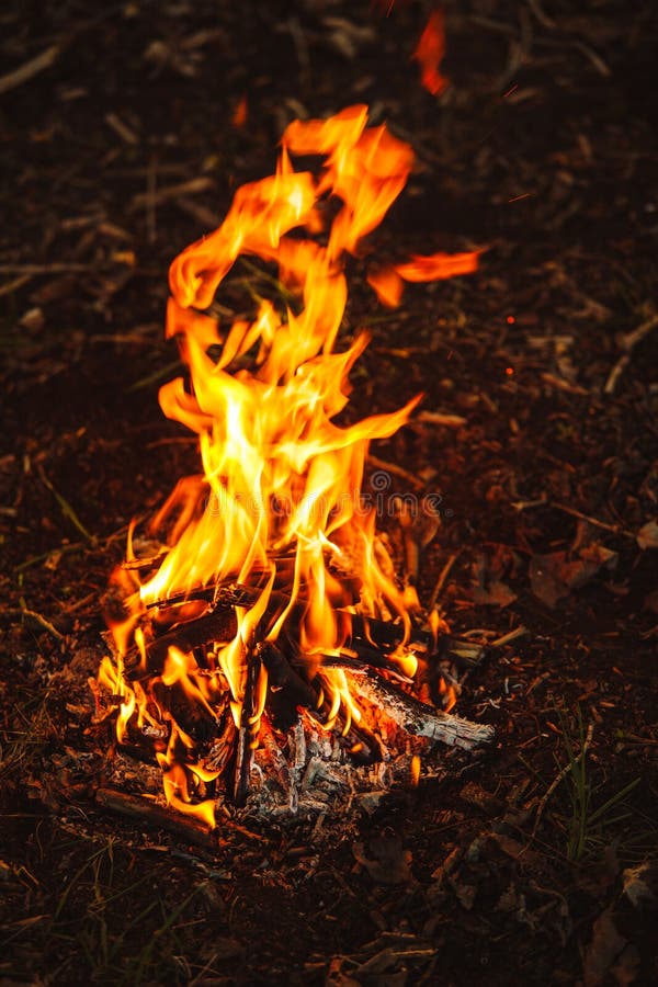 Petit feu image stock. Image du firewood, brûlure, forêt - 15257567