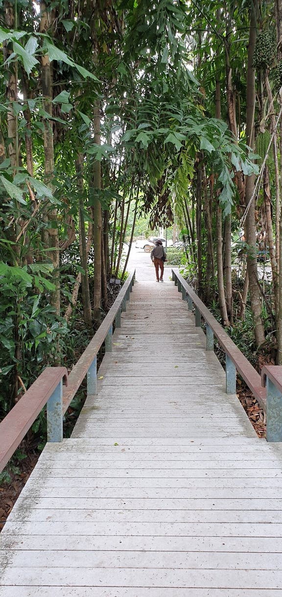 The Image of the End Bit of a Bridge Stock Image - Image of bridge ...