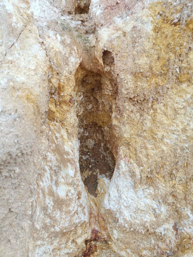 Environment Scene Around the Soil Texture and Pattern of the Limestone ...