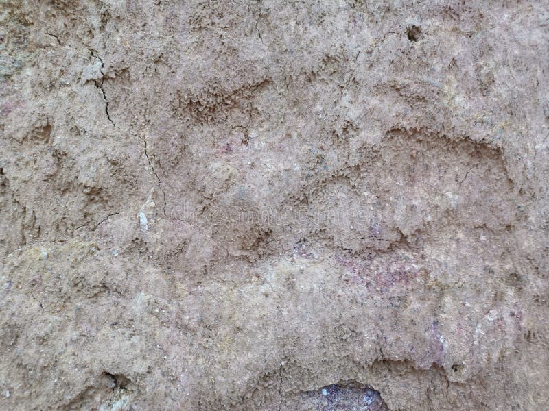 Environment Scene Around the Soil Texture and Pattern of the Limestone ...