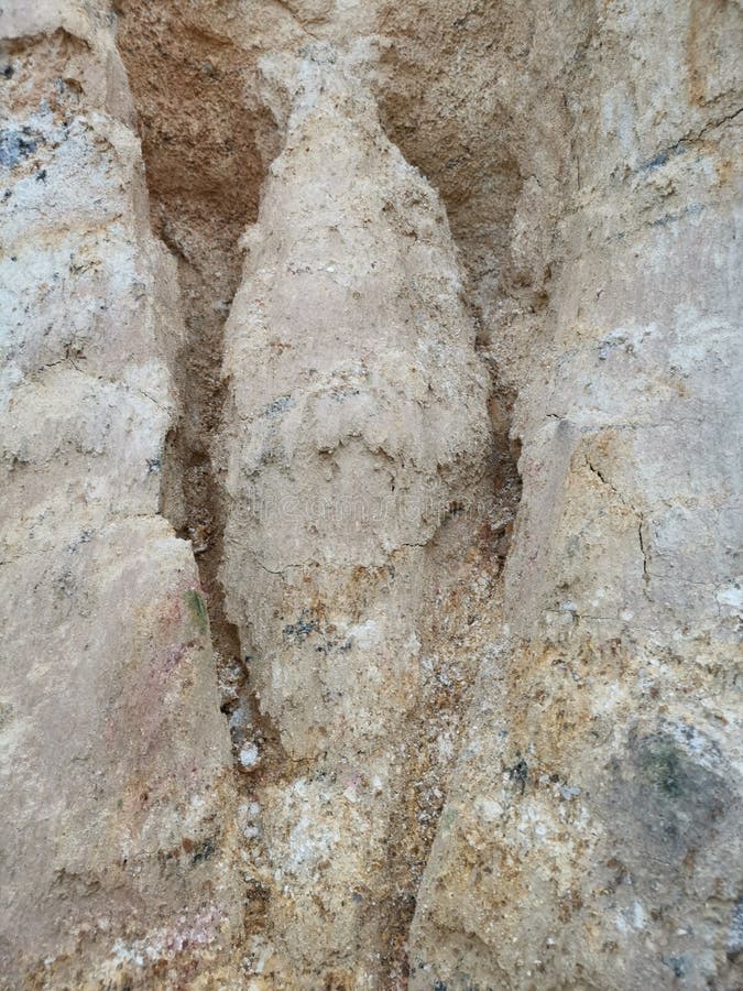 Environment Scene Around the Soil Texture and Pattern of the Limestone ...