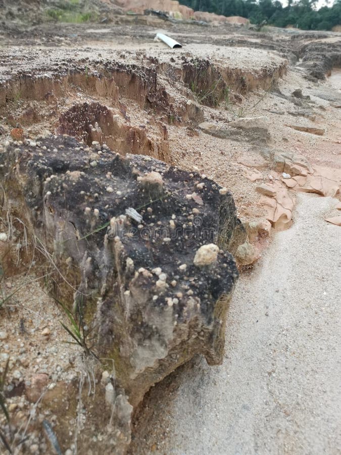 Environment Scene Around the Soil Texture and Pattern of the Limestone ...
