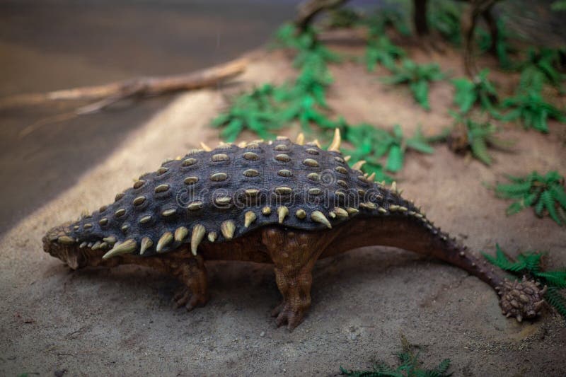 Armored Ankylosaurus: Prehistoric Dinosaur Model Exhibiting Unique Bony ...