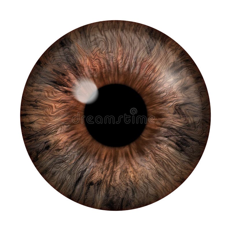 Realistic Image of an Eye. Iris, Cornea, Retina with Luminous Flash ...