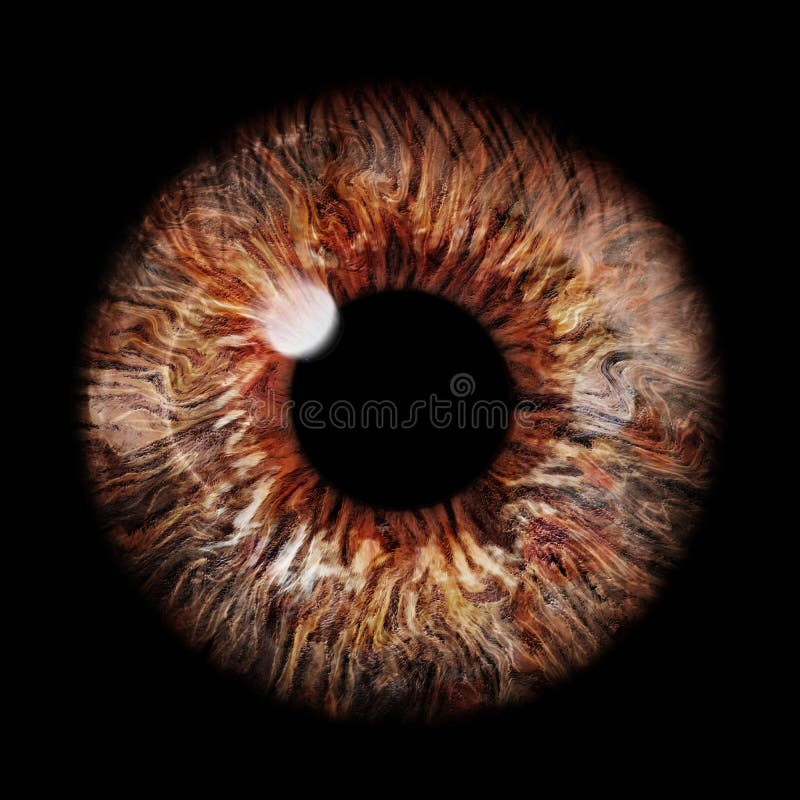 Realistic Image of an Eye. Iris, Cornea, Retina with Luminous Flash ...