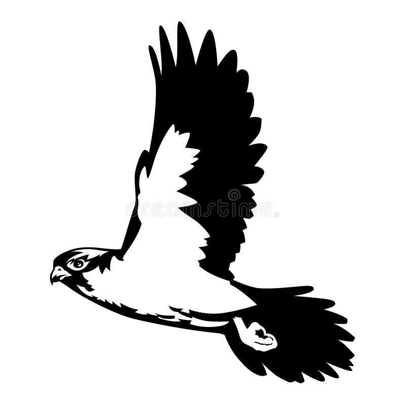 Falcon EPS vector file stock illustration. Illustration of falcon ...