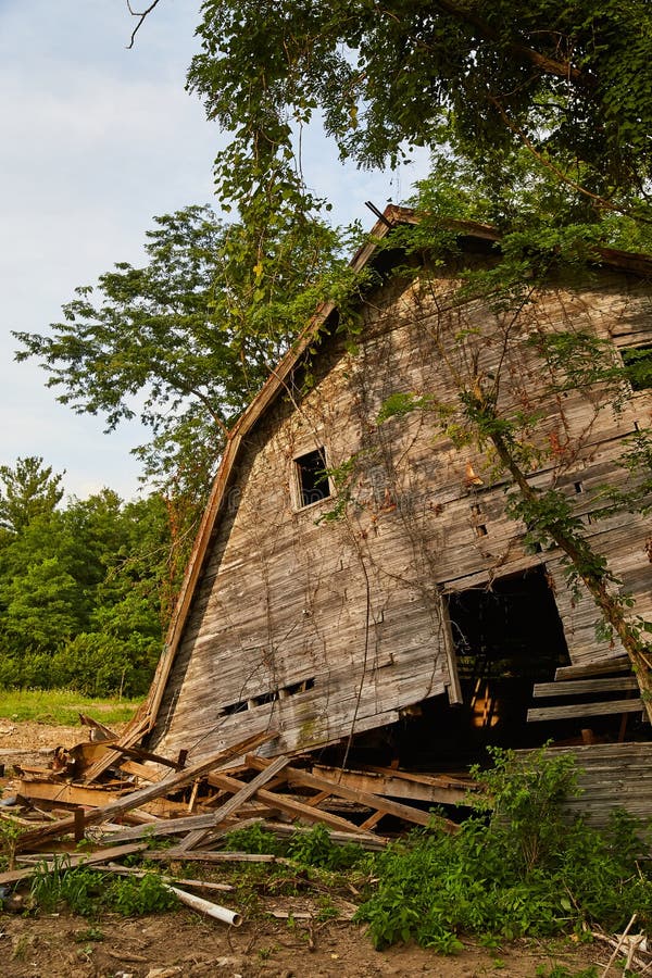 Fallen and Decayed Abandoned Barn in a Forest Stock Photo - Image of ...