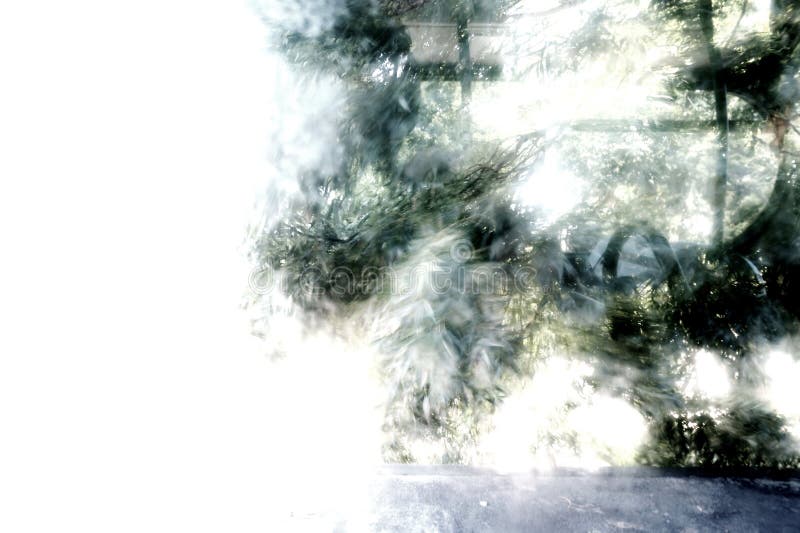 Ethereal View of Leafy Green Branches through a Window on a Hot Summer ...