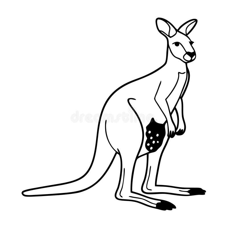 Kangaroo Outline Vector Illustration for Creative Design and ...