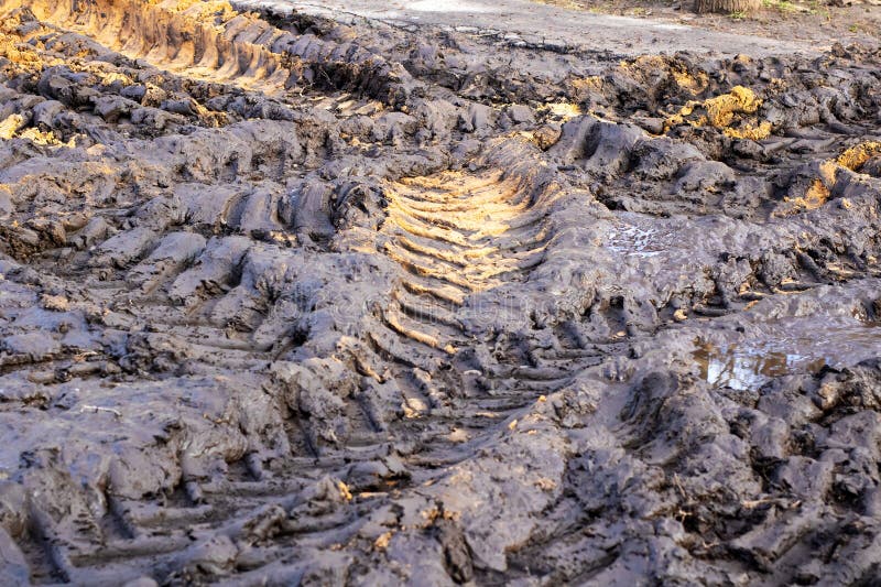 Closeup of a Tire Track in Muddy Field Showing Intricate Details Stock ...