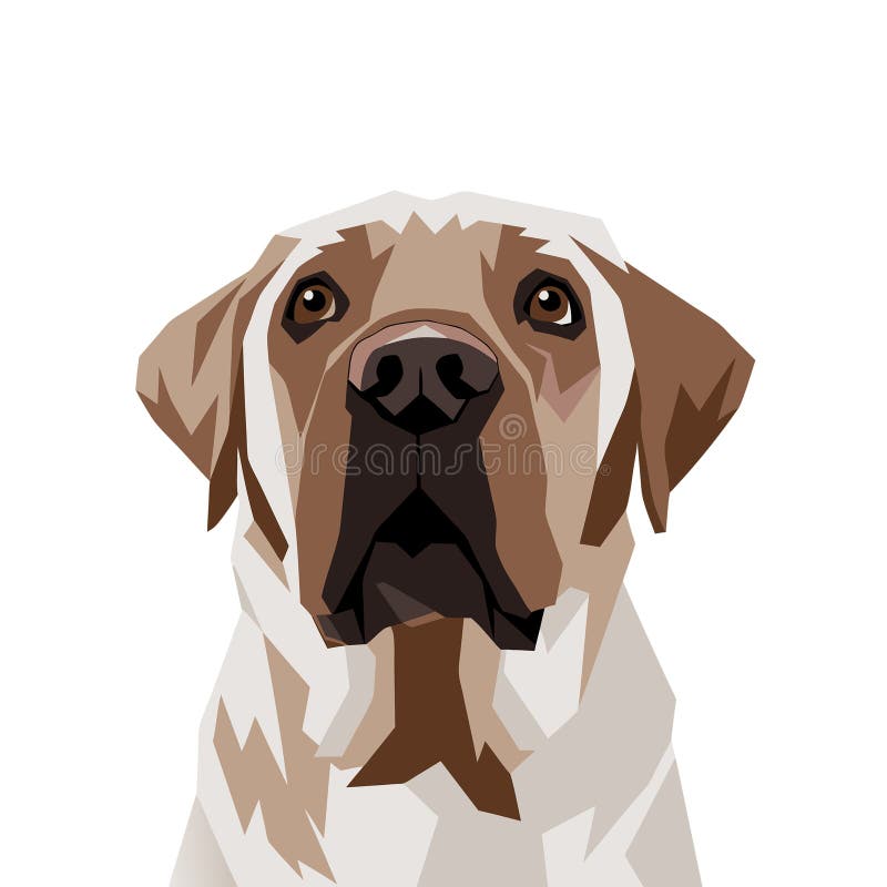 Labrador Retriever Head Vector Illustration for Pet Portraits and ...