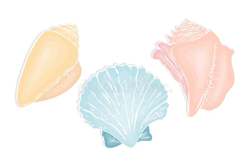 Shell Set, Hand Drawn Seashells, Marine Ocean Life, on Isolated White ...
