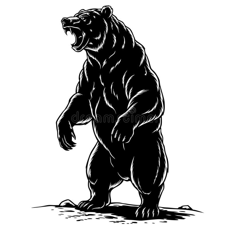 Fierce Standing Bear Roaring Vector Art for Tattoos and Decals Stock Illustration - Illustration ...