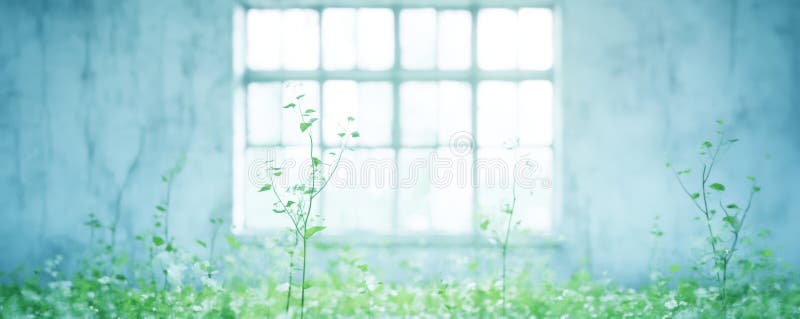 A Serene, Overgrown Sanctuary with Soft Greenery and Light-Filled ...