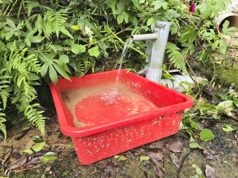 Red Plastic Basin Collecting Mountain Spring Water. Stock Image - Image ...