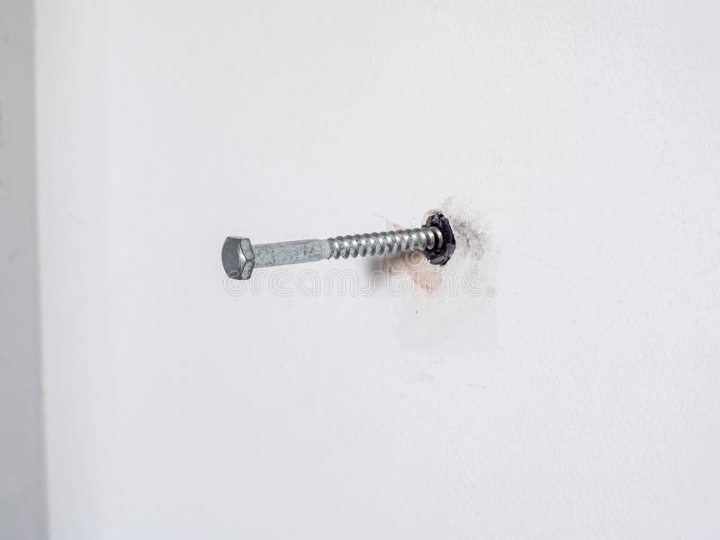 A Close-up of Single Dowel Screws Embedded in a White Concrete Wall ...