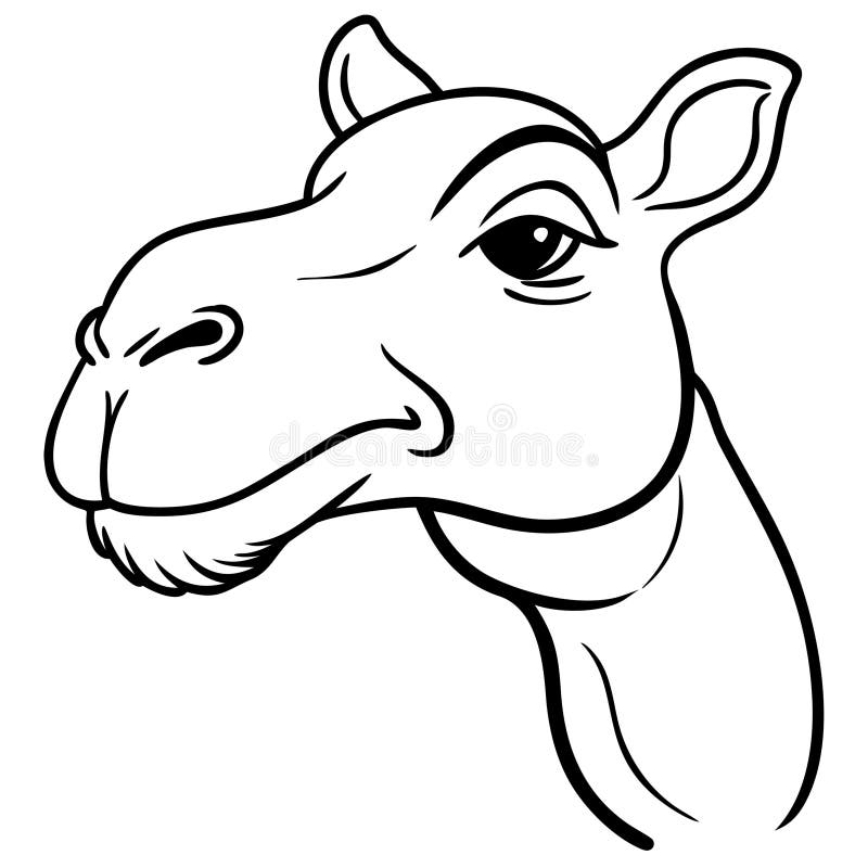 Camel Head Vector Illustration Black Outline on Grey Background Stock ...