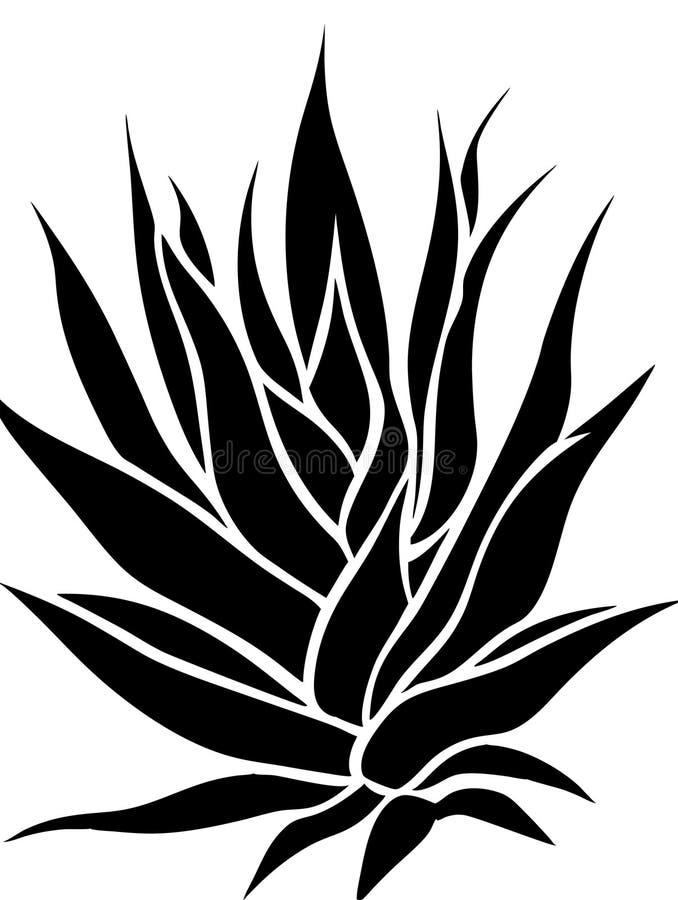 Abstract Black Agave Plant Silhouette Vector for Tattoo and Decorative ...