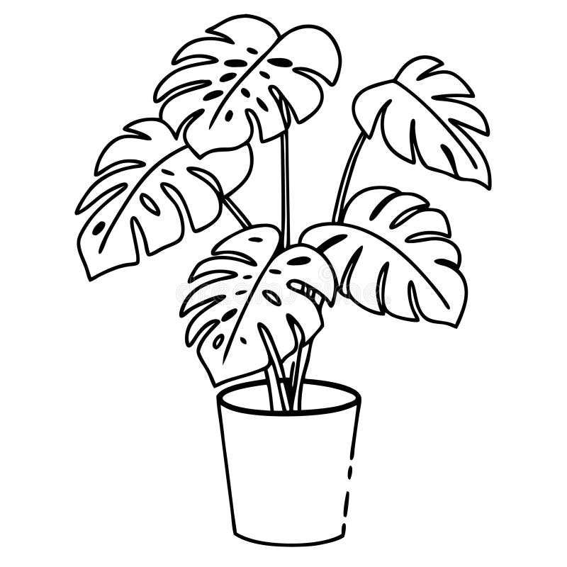 Monstera Plant Outline Vector Illustration for Botanical Design and ...
