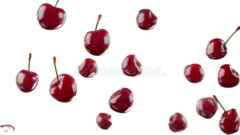 Falling Cherry Fruits on White Background - Beautiful Red Cherries ...